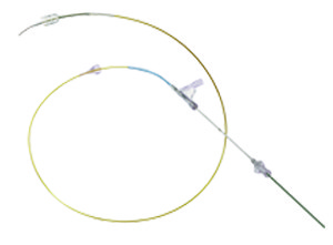 Maquet to distribute Biotronik endovascular devices in the USA ...