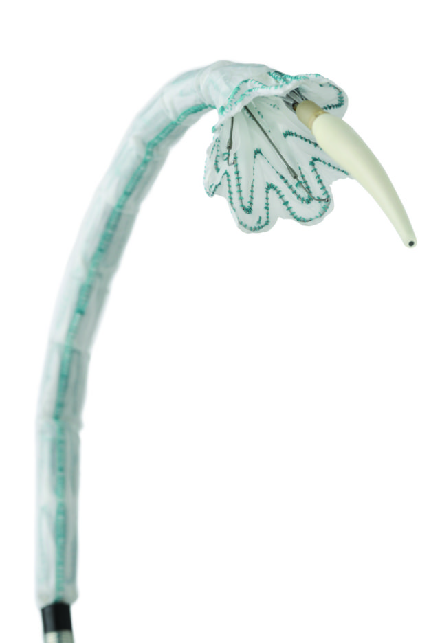 Terumo Aortic announces completion of enrolment of RelayPro US pivotal ...