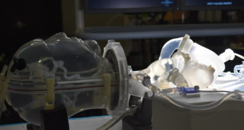 Vascular Simulations launches Replicator PRO for realistic replication ...