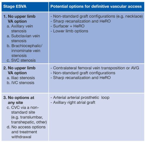 “More creative solutions” needed for end-stage vascular access patients ...