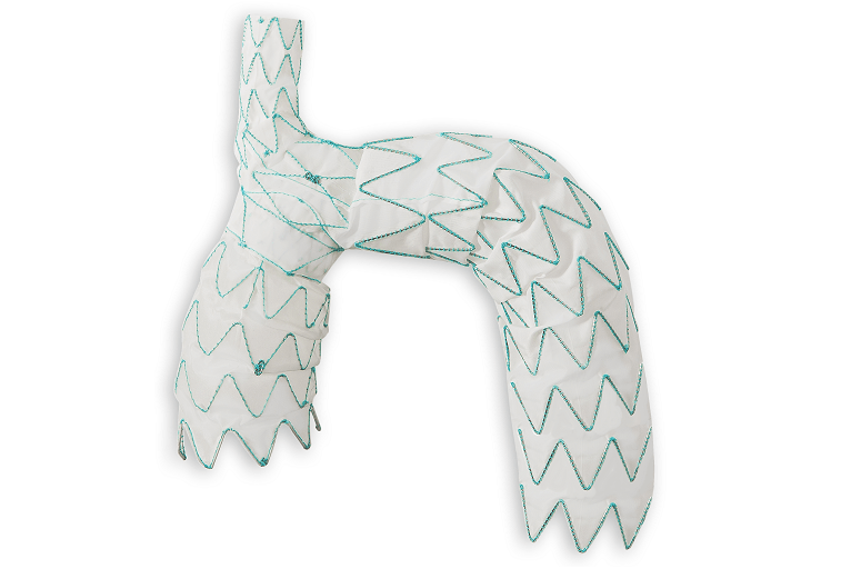 Endospan enrols first patient in the TRIOMPHE IDE study - Vascular News