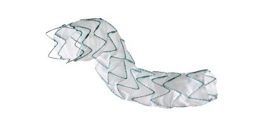 CMS assigns APC code for MolecuLight’s i:X procedure for bacterial ...