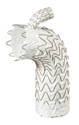 Gore receives FDA approval of Gore Tag TBE for the repair of lesions of ...