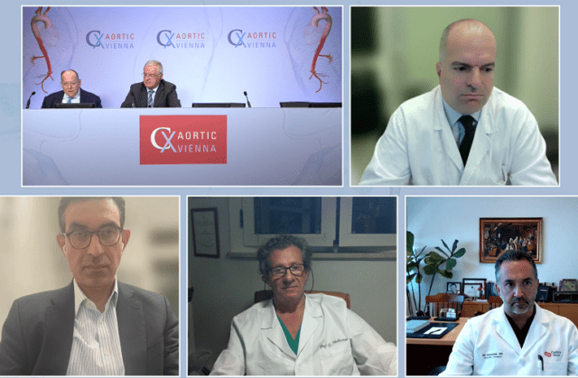 CX Aortic Vienna: Presenters advocate for patient-tailored approach in ...