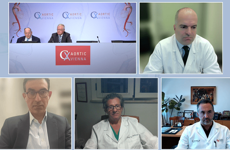 CX Aortic Vienna: Presenters advocate for patient-tailored approach in ...
