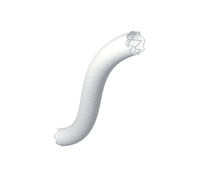 Three-year data bolster use of the BeGraft as a bridging stent in FEVAR