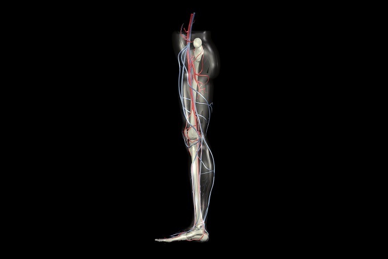 Revascularisation considered over amputation for CLTI in UK, new study ...