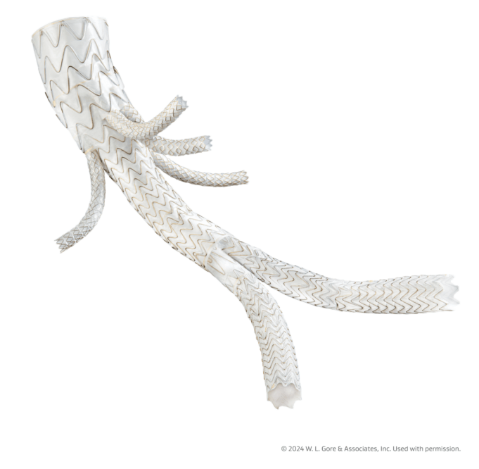 Gore receives US FDA approval for TAMBE