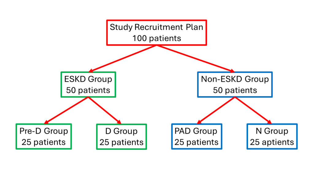 Endothelial tight junctions and their role in vascular access ...