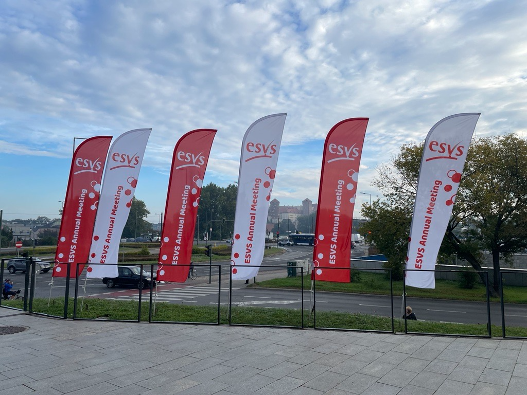 ESVS 2024 live blog - Vascular News