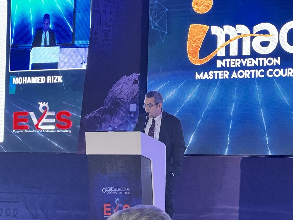 EVES 2024 Summit audience encouraged to “master all techniques” for AAA ...