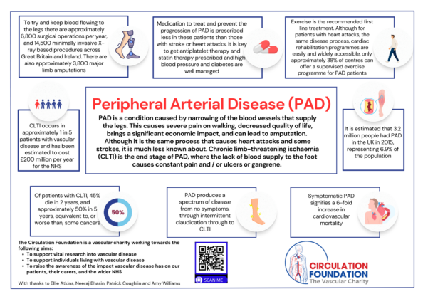 ‘Fit for the future’: A 2025 update from the Circulation Foundation - Vascular News