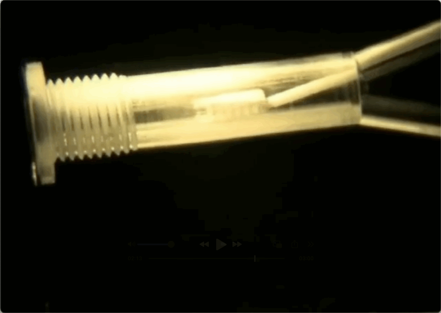 Founding fathers of EVAR mark 40 years of aortic stent graft ...