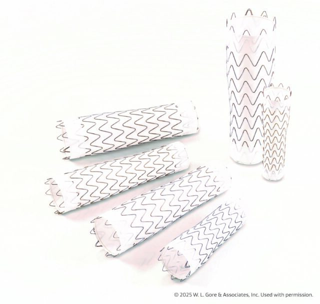 Gore announces US FDA approval and first commercial implant of large ...