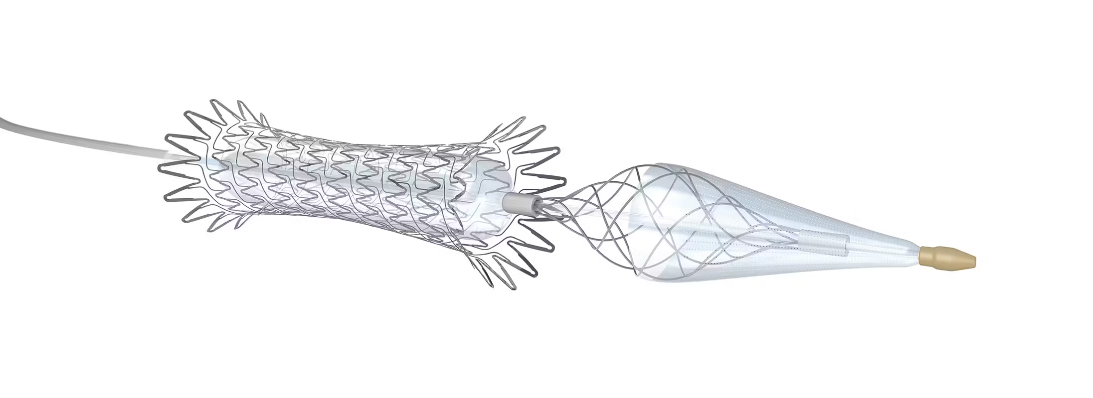 Medtronic fully launches Neuroguard IEP system - Vascular News