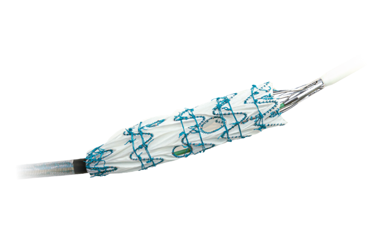Terumo Aortic announces launch of Fenestrated Treo pivotal IDE study in ...