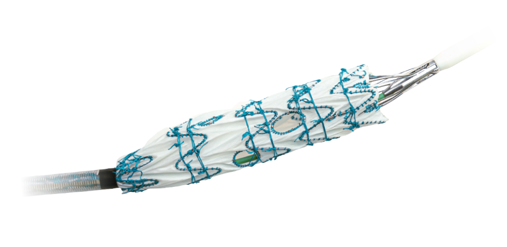 Terumo Aortic announces US FDA Breakthrough Device designation for ...
